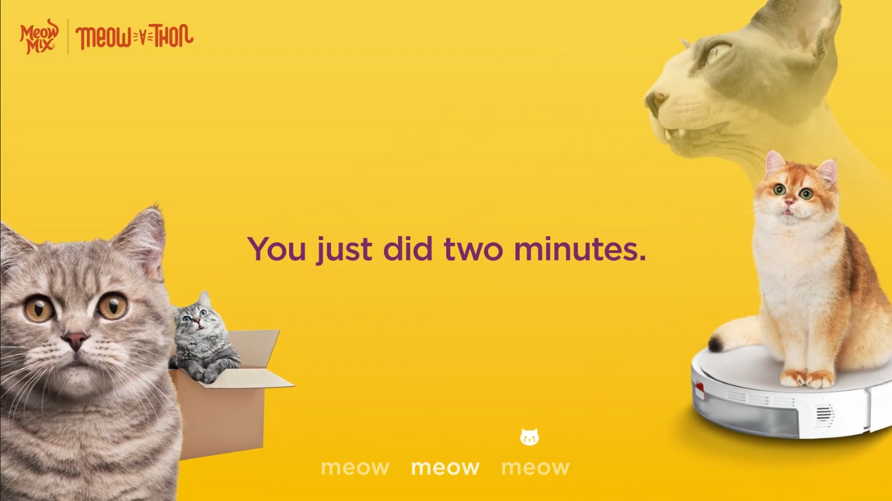 Meow Mix: 12-godzinna piosenka „Meow-A-Thon” to test twojej miłości do ...